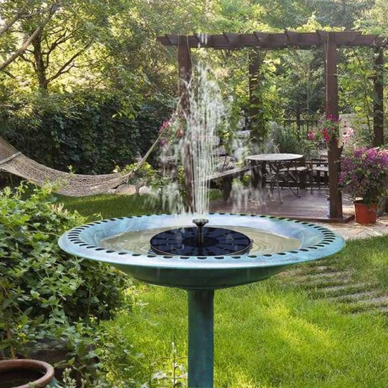 Top 3 Best Solar Bird Bath Pumps [Buyer's Guide]