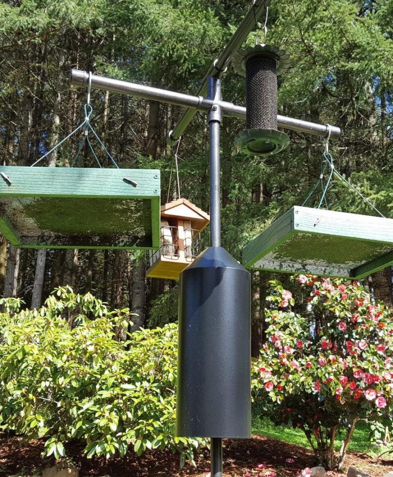 5 Best Squirrel Baffles That Will Defeat Your Squirrel Worry