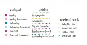 All 5 Hummingbirds in Kentucky [With Pictures & Maps]