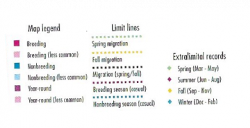 All 21 Hummingbirds in the United States [With Pictures]