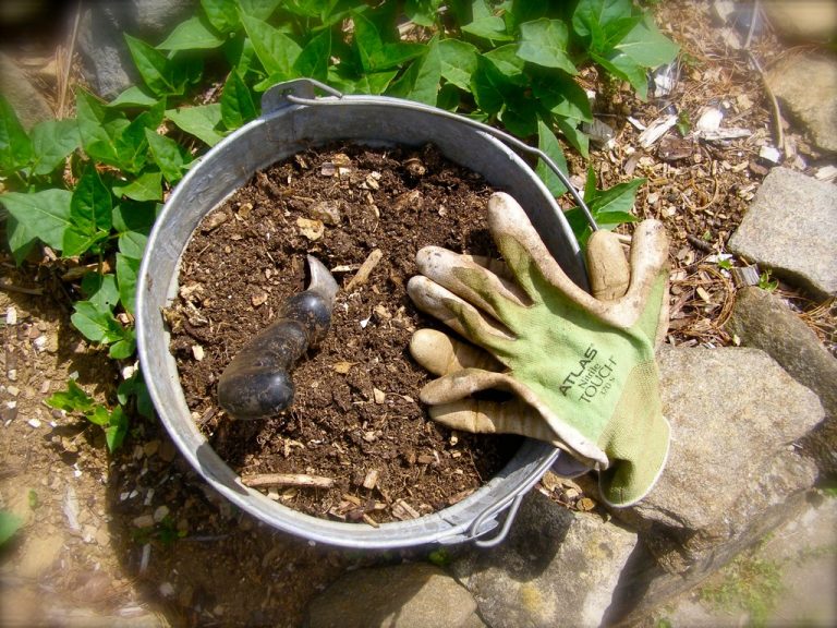 How To Start Composting In A Five-Gallon Bucket