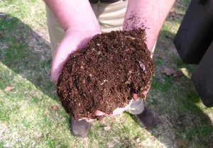 Manure Vs. Compost: What’s The Difference and Which is Better?