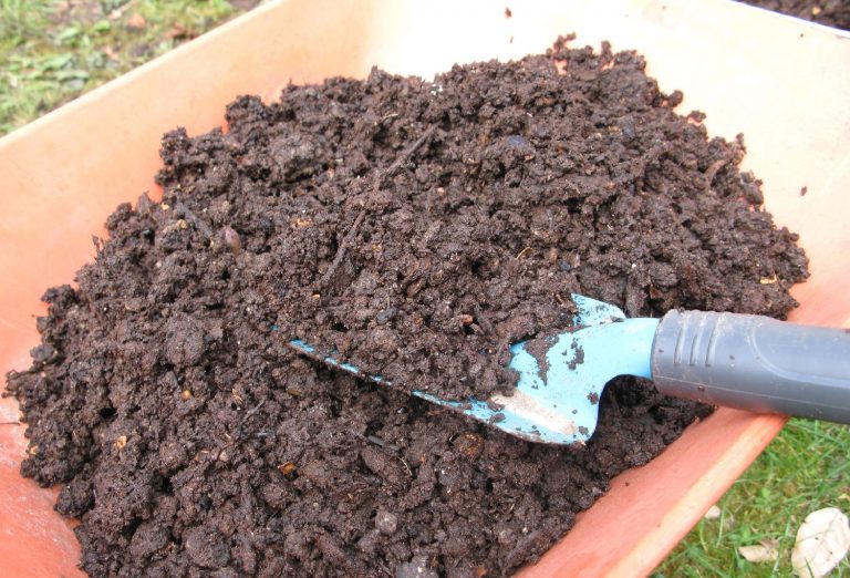 Manure Vs. Compost: What’s The Difference and Which is Better?