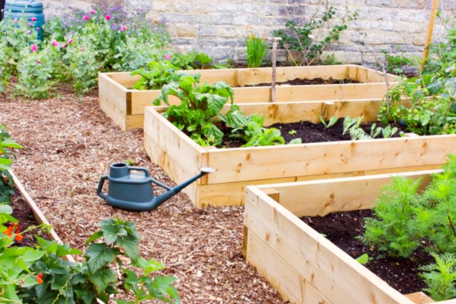 7 No-Dig Gardening Disadvantages You Need To Keep In Mind