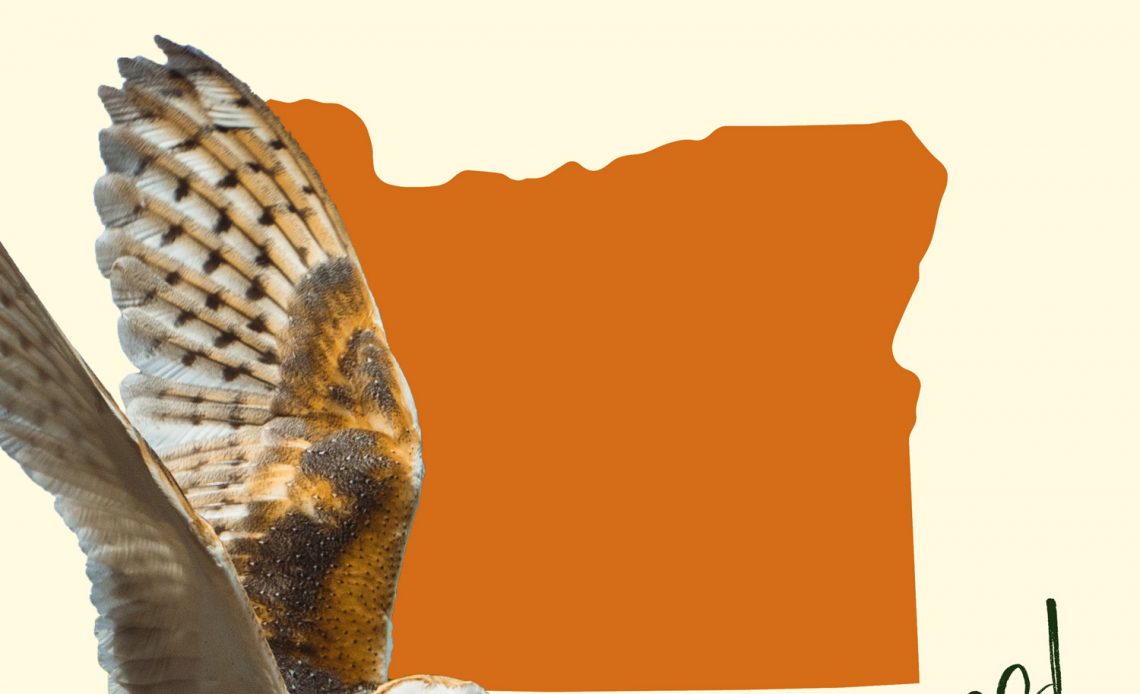 All 14 Owls in Oregon [With Sounds & Pictures]