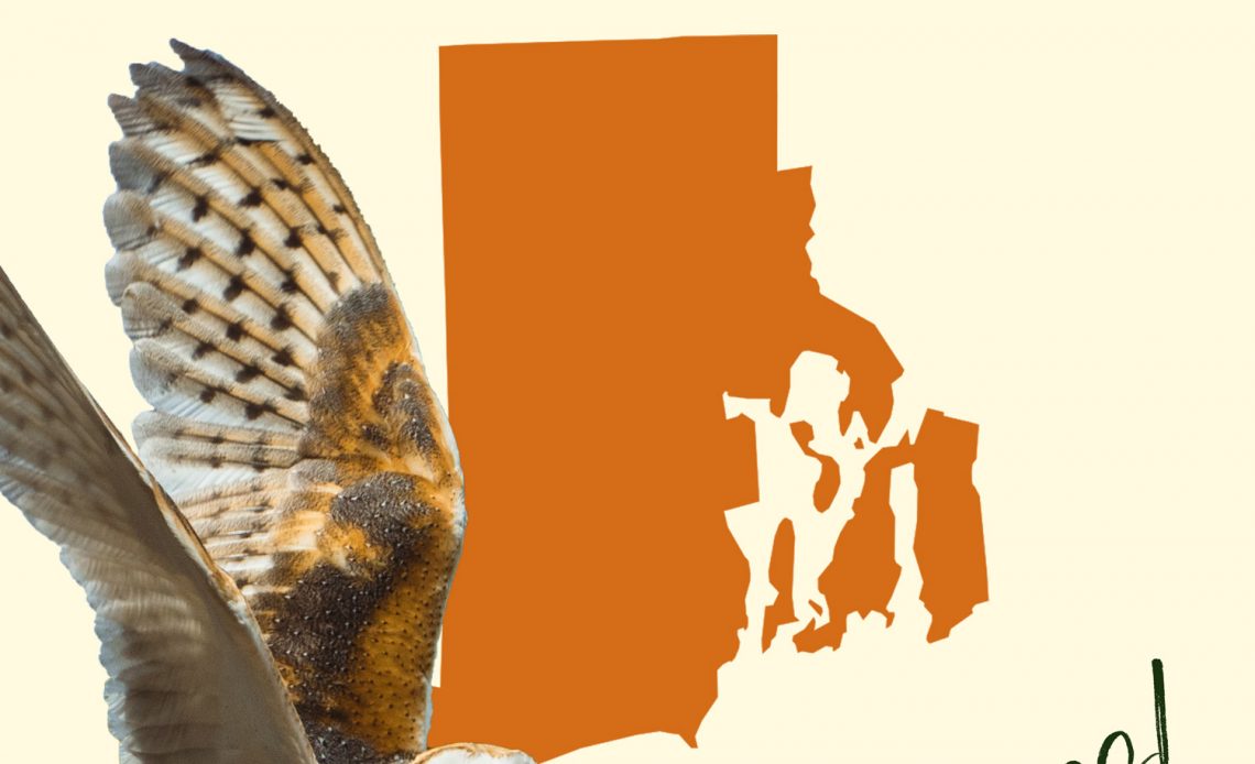 All 9 Owls in Rhode Island [With Sounds & Pictures]