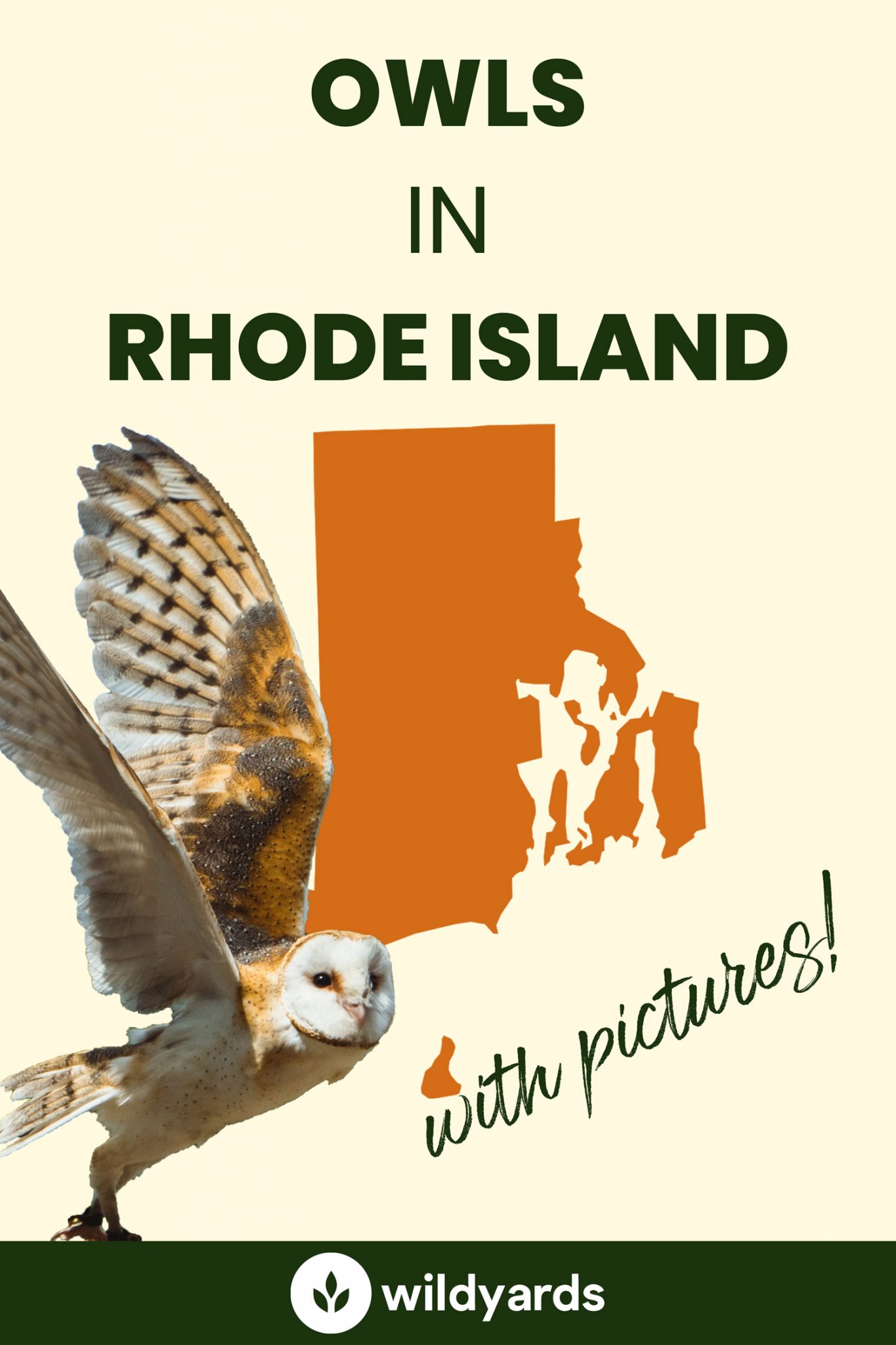 All 9 Owls in Rhode Island [With Sounds & Pictures]