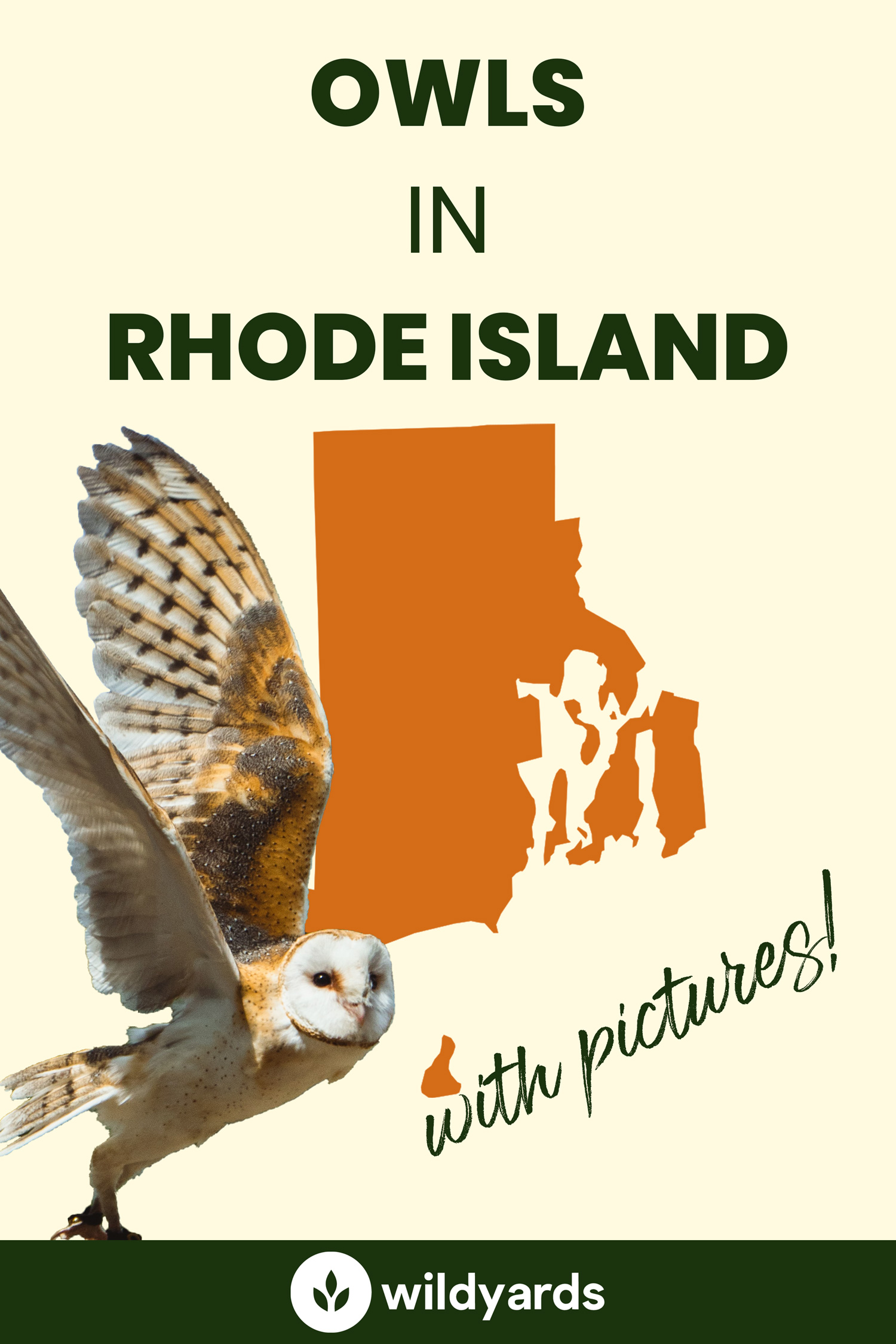 All 9 Owls in Rhode Island [With Sounds & Pictures]
