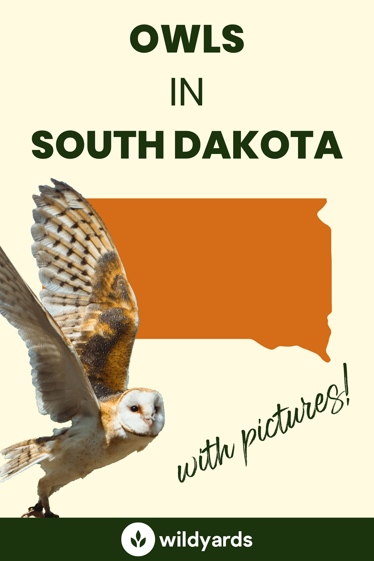 All 9 Owls in South Dakota [With Sounds & Pictures]