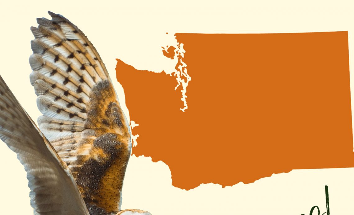 All 15 Owls in Washington [With Sounds & Pictures]