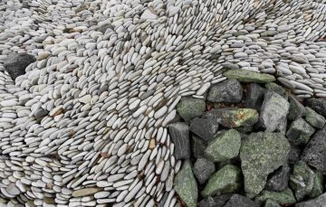 12 Tips For Landscaping Around Trees With Rocks