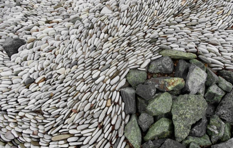 12 Tips For Landscaping Around Trees With Rocks