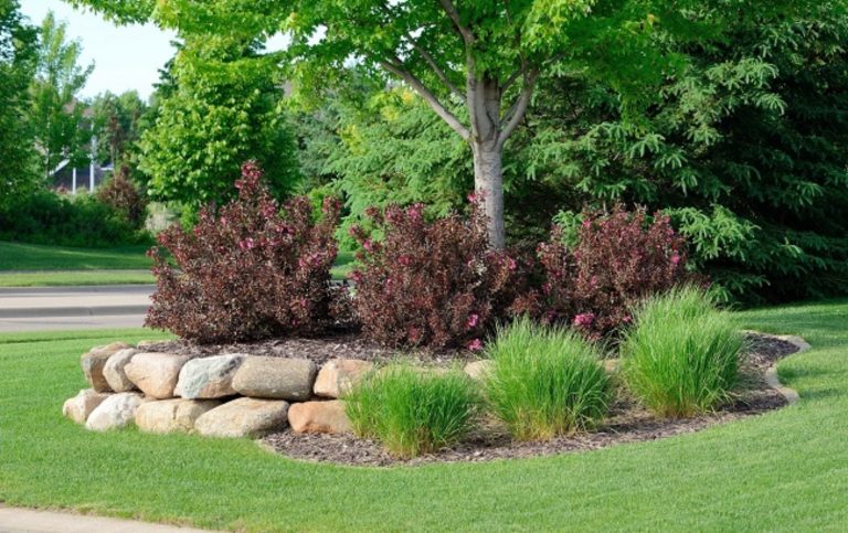 12 Tips For Landscaping Around Trees With Rocks