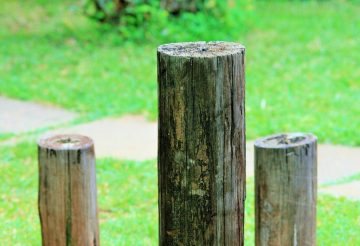 How To Build A Dragon Fruit Trellis