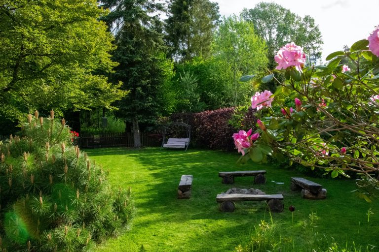 What Is 13-13-13 Fertilizer And When Should You Use It?