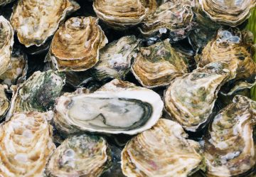 How To Use Oyster Shells In The Garden