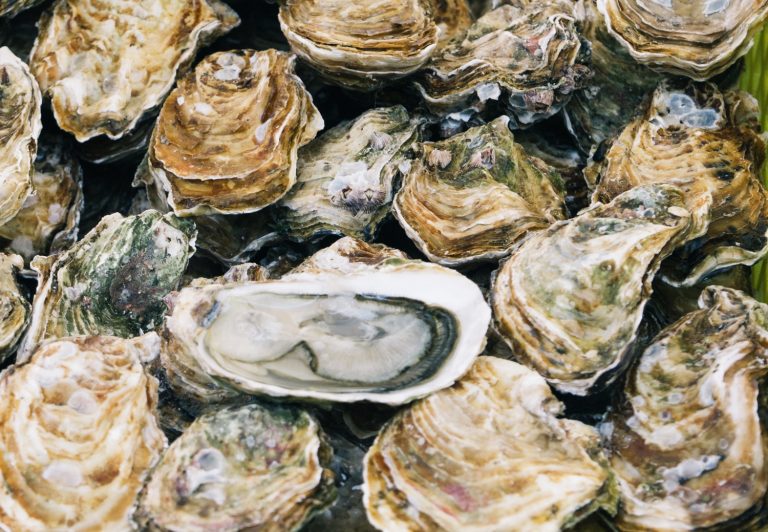 How To Use Oyster Shells In The Garden