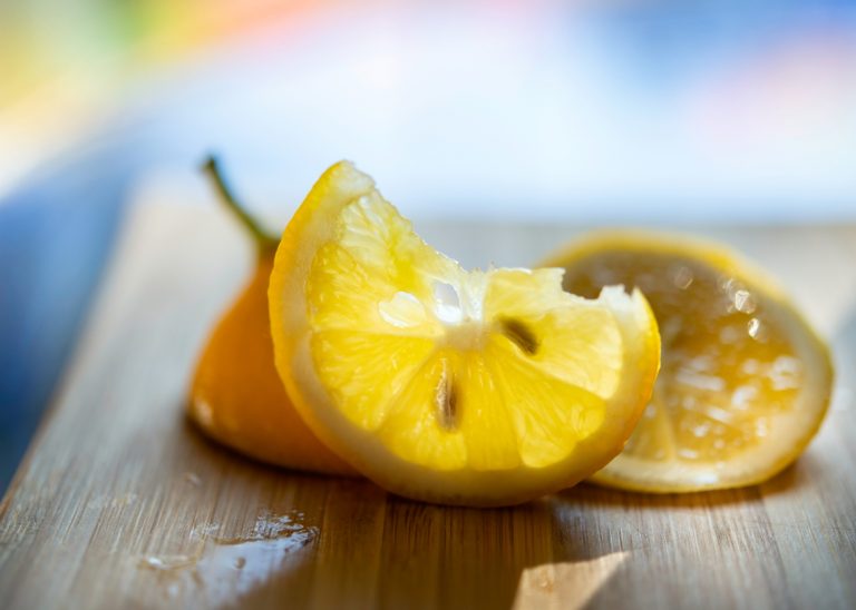 8 Lemon Tree Growth Stages From Seed To Harvest