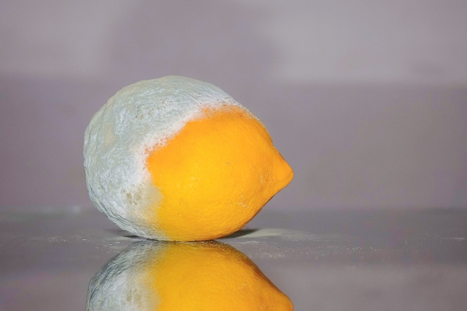 8 Lemon Tree Growth Stages From Seed To Harvest