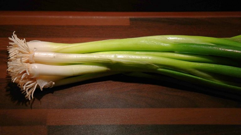 8 Onion Growing Stages From Seed To Harvest