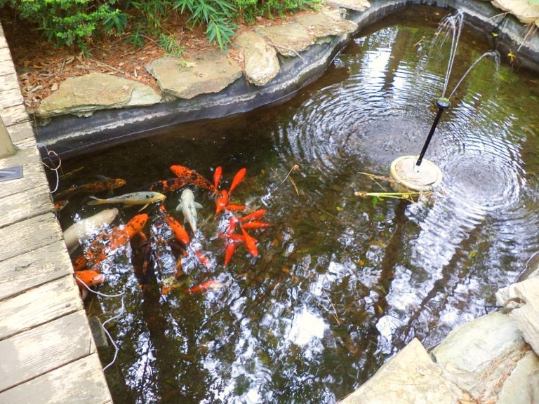 19 Amazing Small Corner Rock Garden Ideas