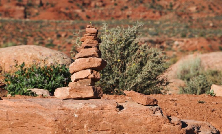 20 Inexpensive Desert Landscaping Ideas
