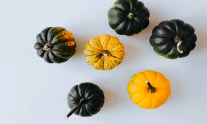 6 Clever Tips For Growing Pumpkins In Small Spaces
