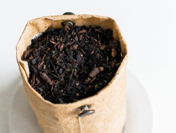 10 High Phosphorus Fertilizers And When To Use Them