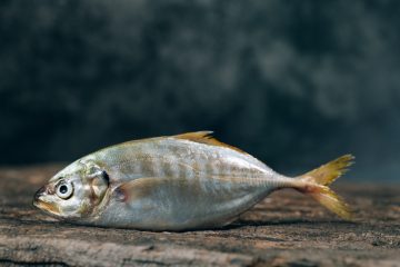 10 High Phosphorus Fertilizers And When To Use Them