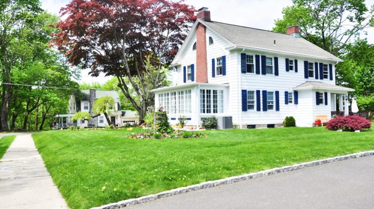 What Is 16-16-16 Fertilizer And When Should You Use It?