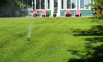 What Is 14-14-14 Fertilizer And When Should You Use It?