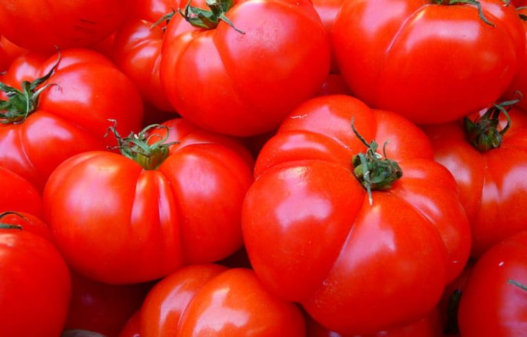 35 Best Tasting Tomatoes To Grow In Your Garden