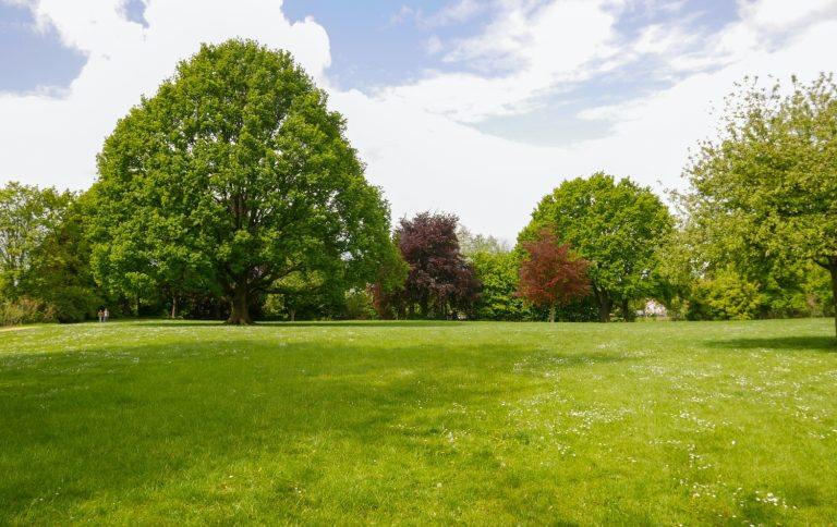 What Is 34-0-0 Fertilizer And How Do You Use It?