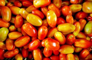30 High-Yield Tomato Varieties You Should Grow This Season