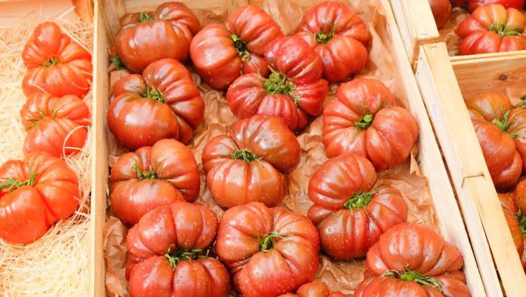 30 High-Yield Tomato Varieties You Should Grow This Season