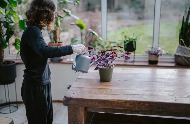 What Is 12-12-12 Fertilizer And How Do You Use It?