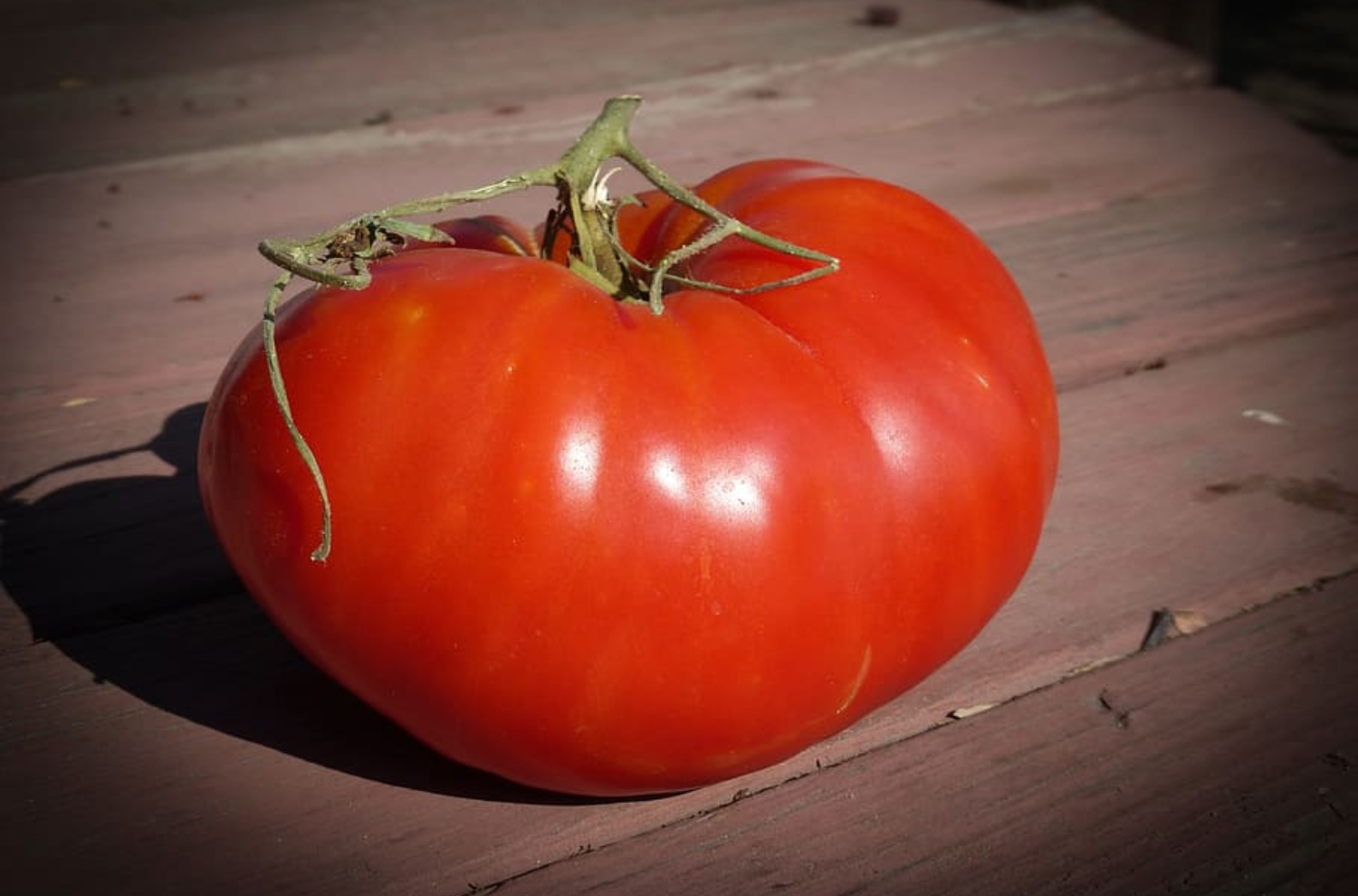 30 High-Yield Tomato Varieties You Should Grow This Season