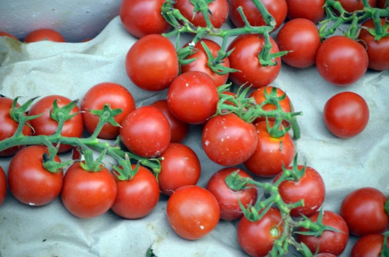 13 Best Tasting Cherry Tomatoes To Grow In Your Garden