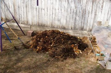 12 Organic Gardening Practices To Make Gardening Easier