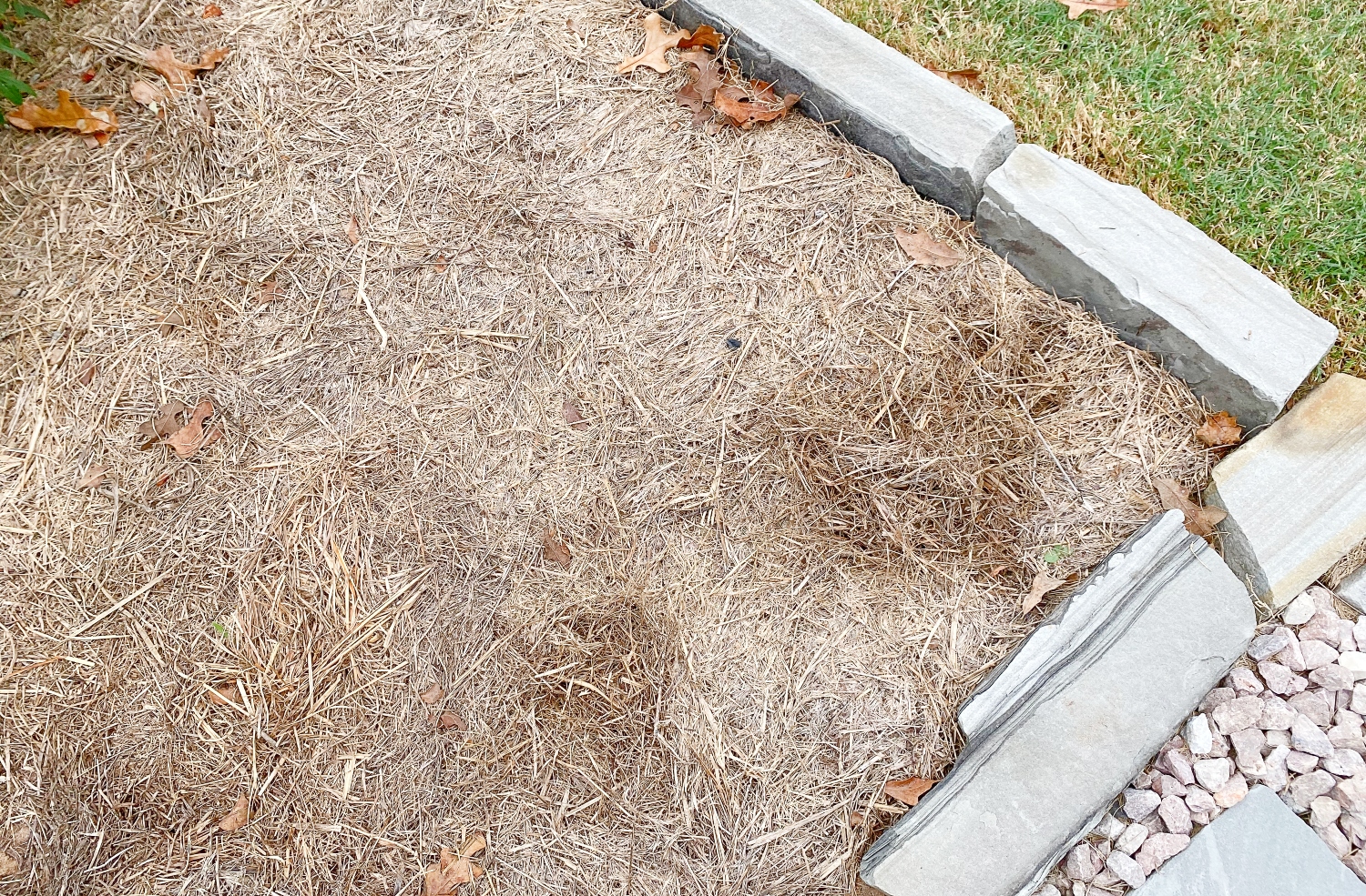 Why Is Sustainable Gardening Important?