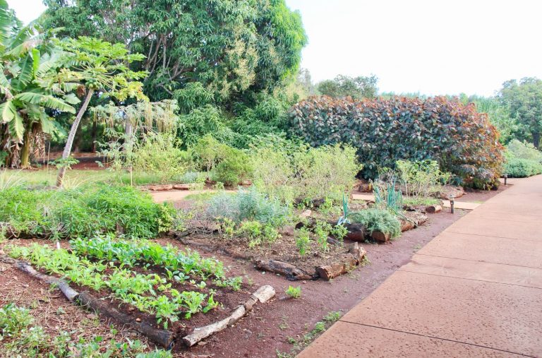 12 Organic Gardening Practices To Make Gardening Easier